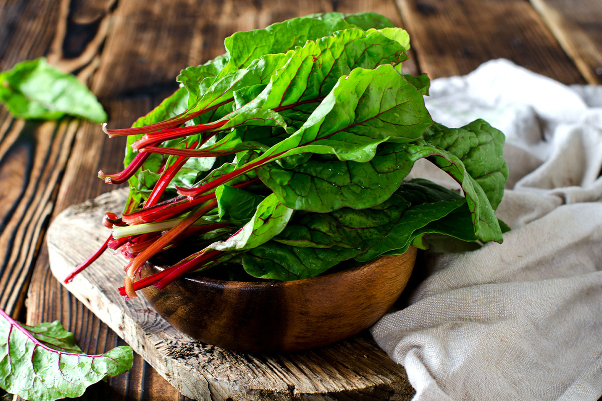 Bietola: tutto quello che c'è da sapere!